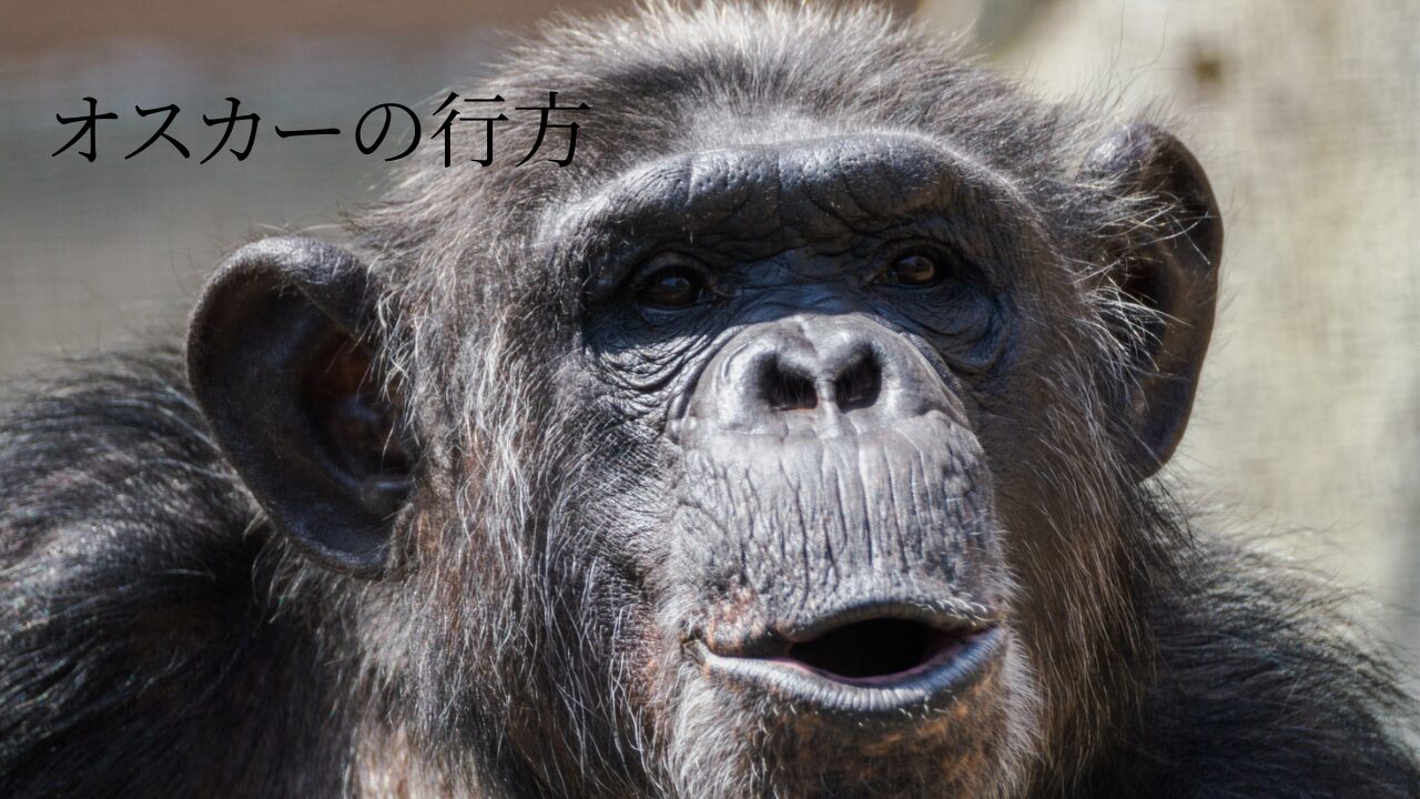 #72：オスカーの行方【朝丘 大介】 | Emperor Engine®︎ Rainlogic